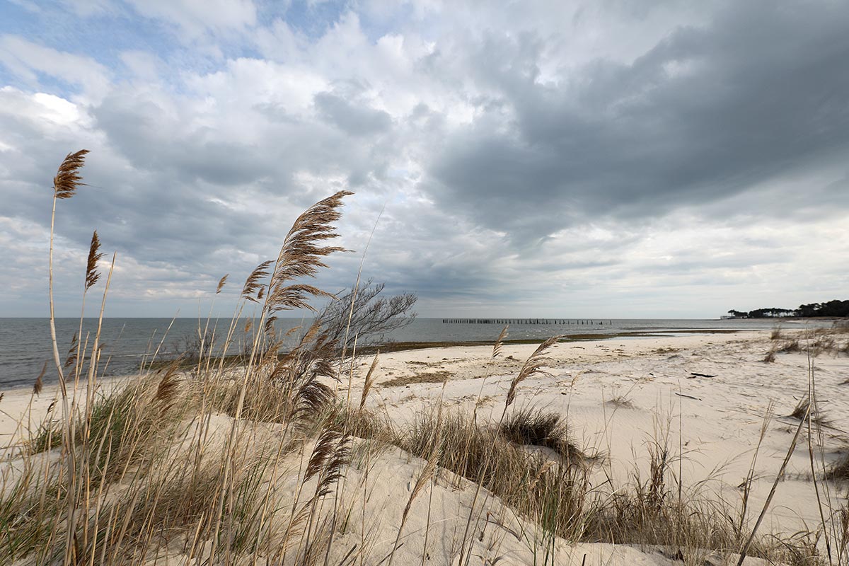 About Virginia Coastal Wilds - Middle Peninsula Chesapeake Bay Public ...