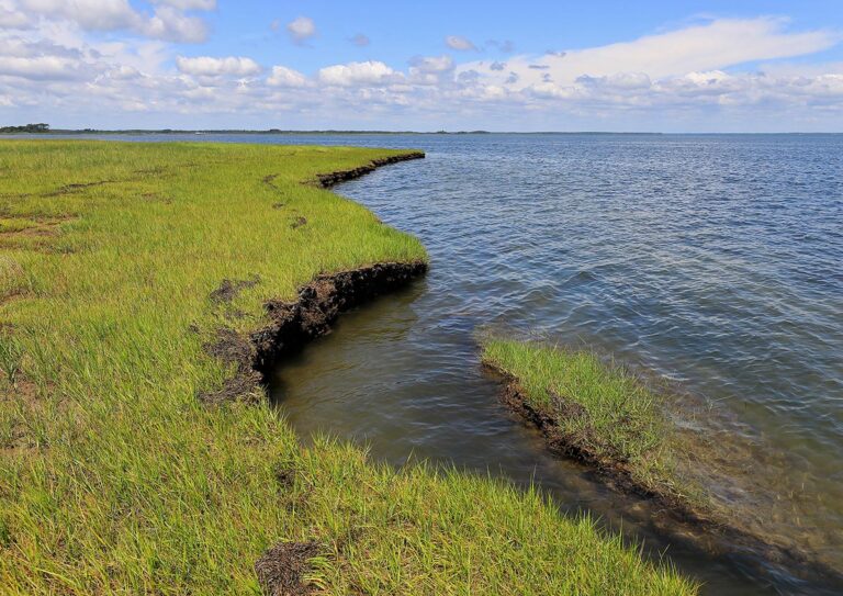 Explore the Coast - Middle Peninsula Chesapeake Bay Public Access Authority