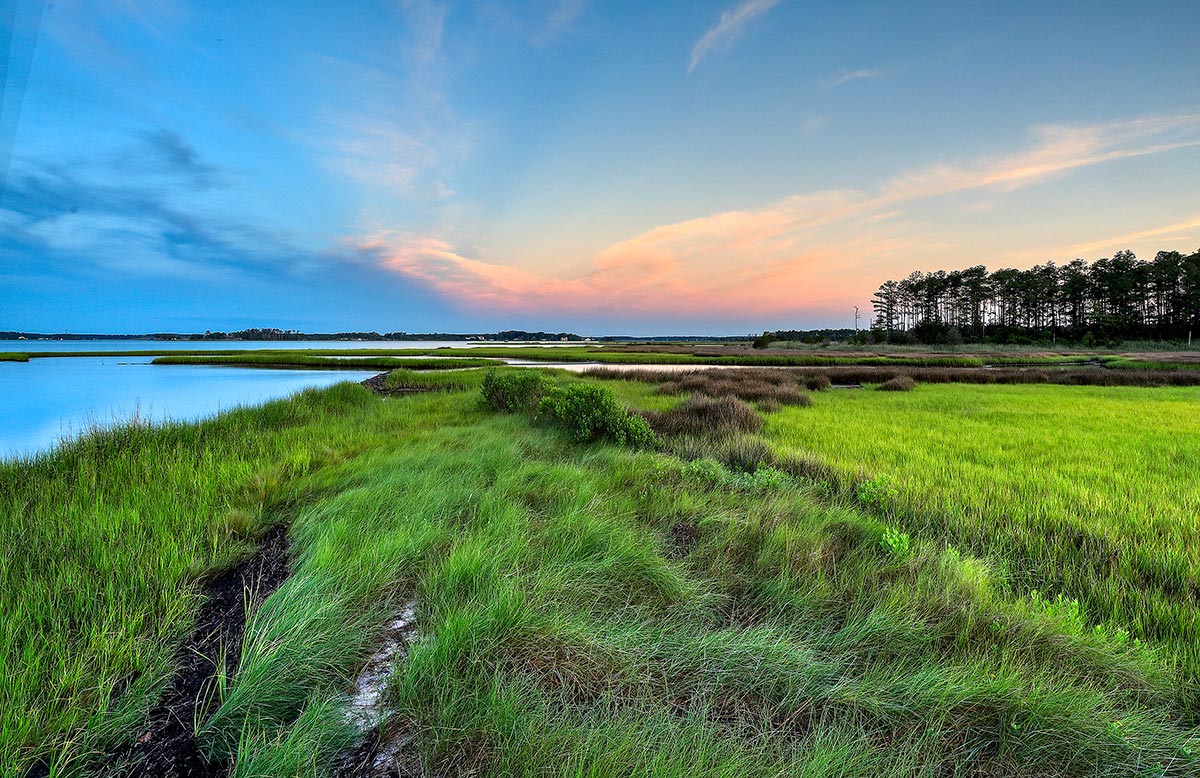 Wild Scavenger Hunt - Middle Peninsula Chesapeake Bay Public Access ...
